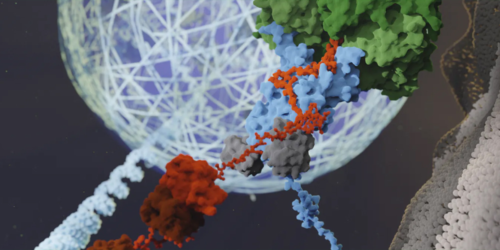 Research that shines light on how cells recover from threats