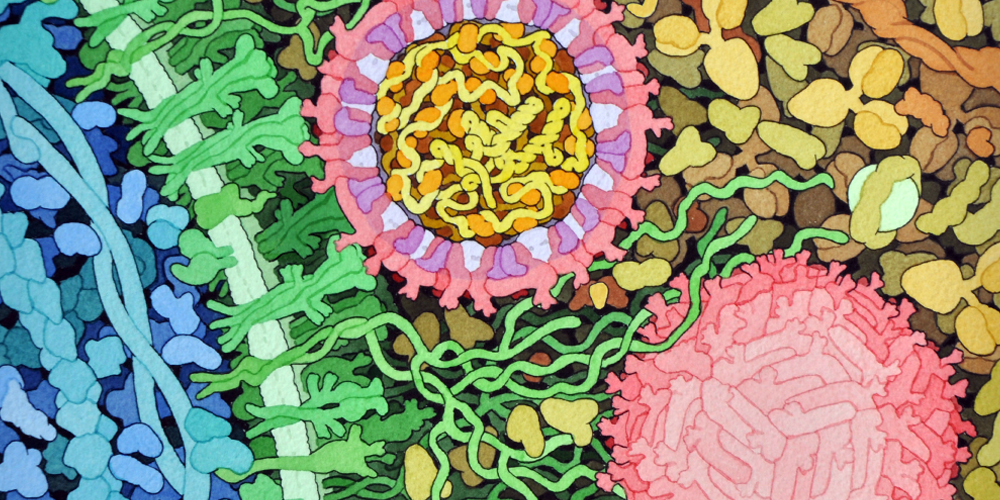 From the journals: JBC