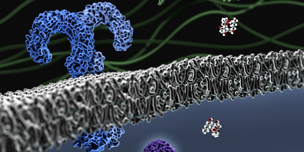 From the journals: MCP