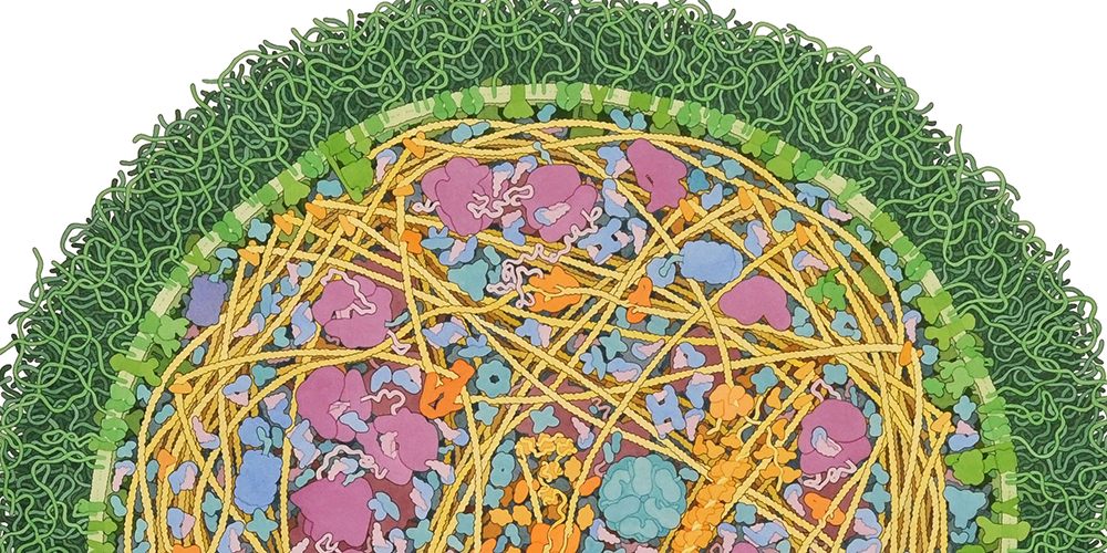 David Goodsell: The master of mol art