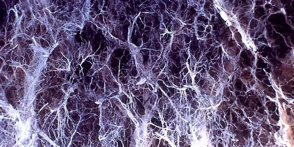 Helping cells become better protein factories