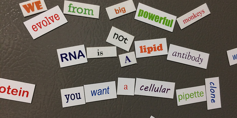 This week's staff picks