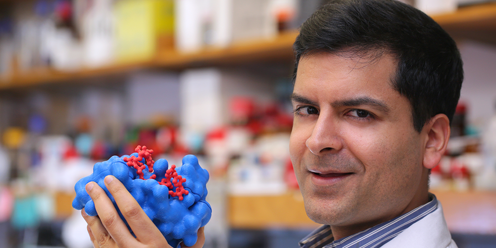 Jaffrey called ‘gifted thinker’ for accomplishing so much so quickly