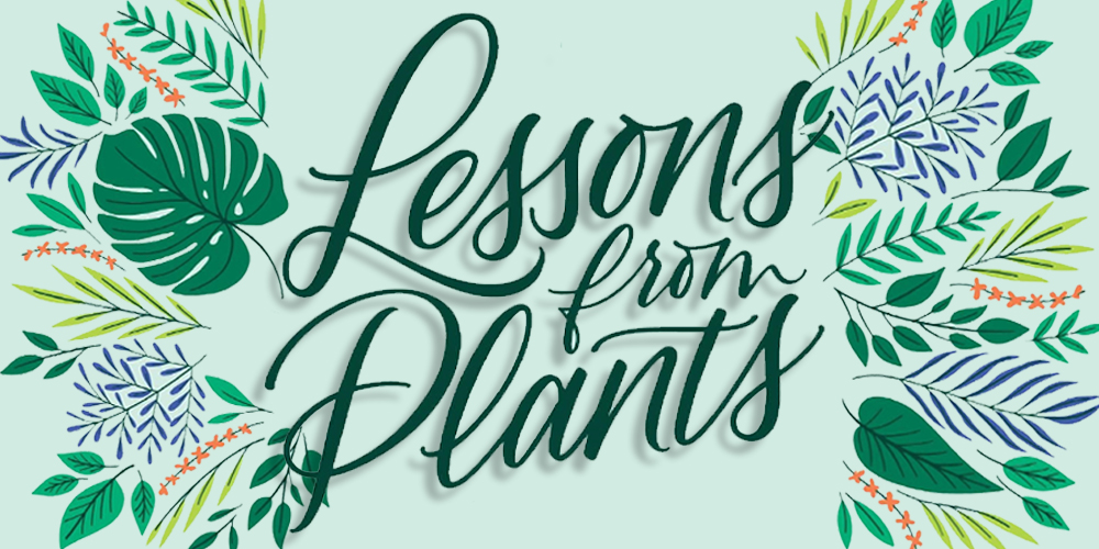 Lessons from plants: A changing environment