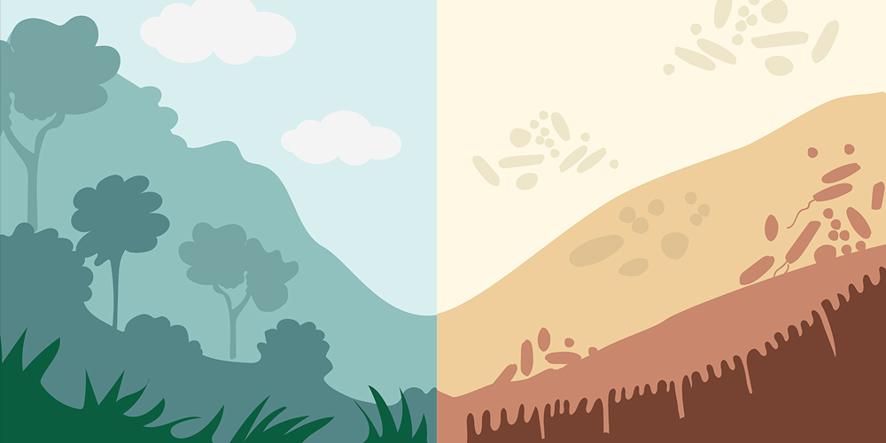 Our internal ecology