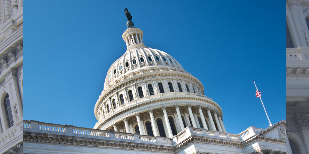 Steps for getting started in science policy