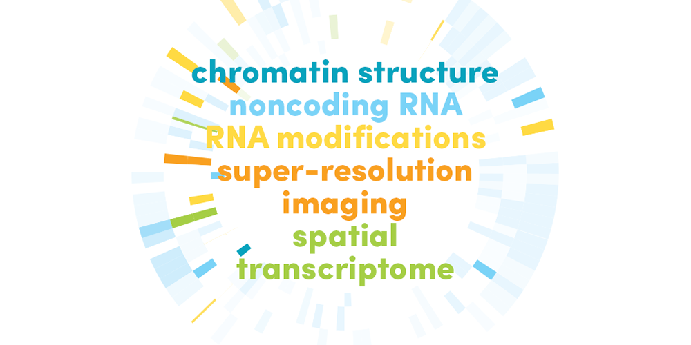 Dna And Rna 1.30: DNA, RNA, And DNA Replication Biology LibreTexts