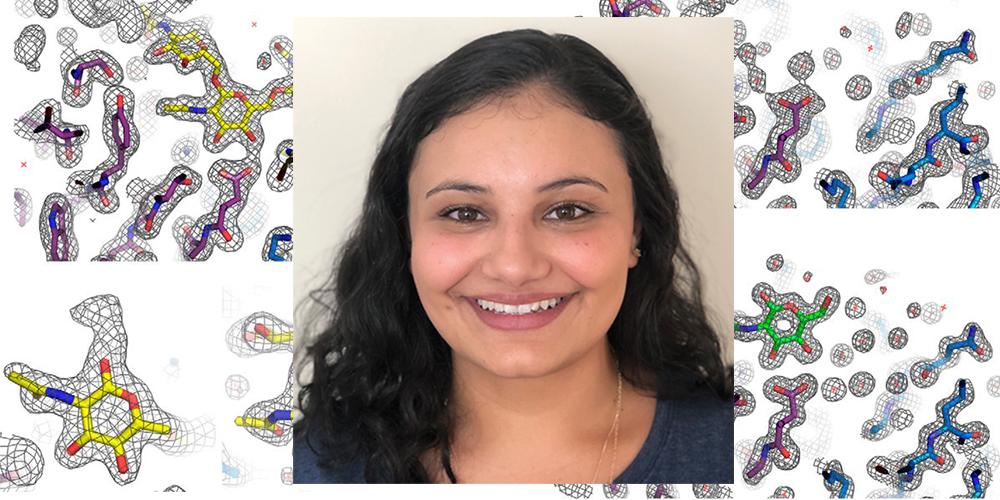 Using crystallography to answer questions of structure and function