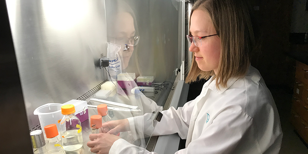 Using bacteria to clean the environment