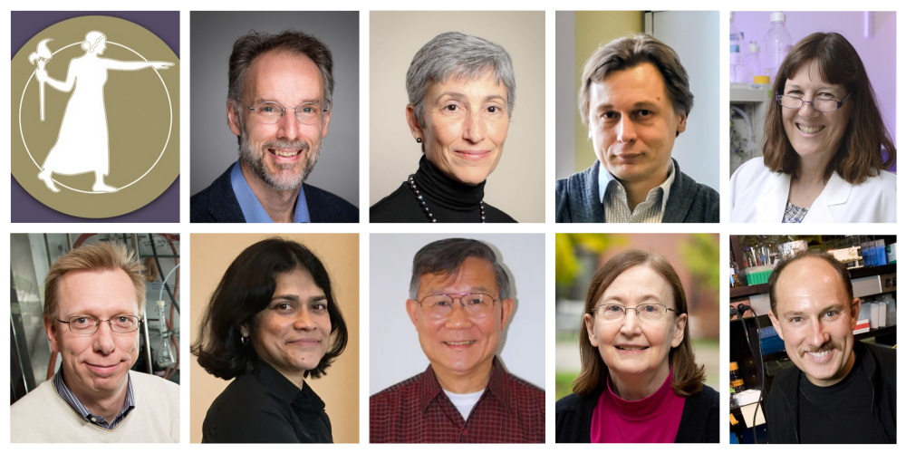 Academy elects new members