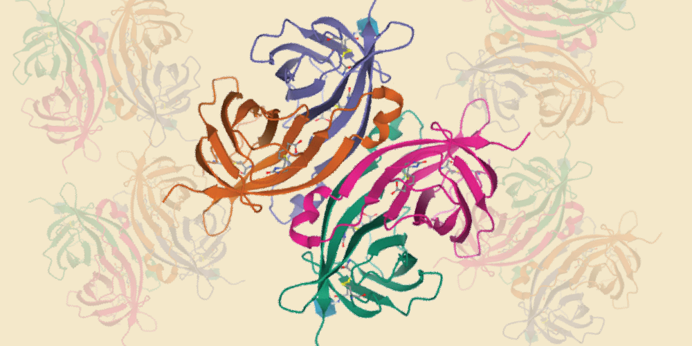High Affinity Binding
