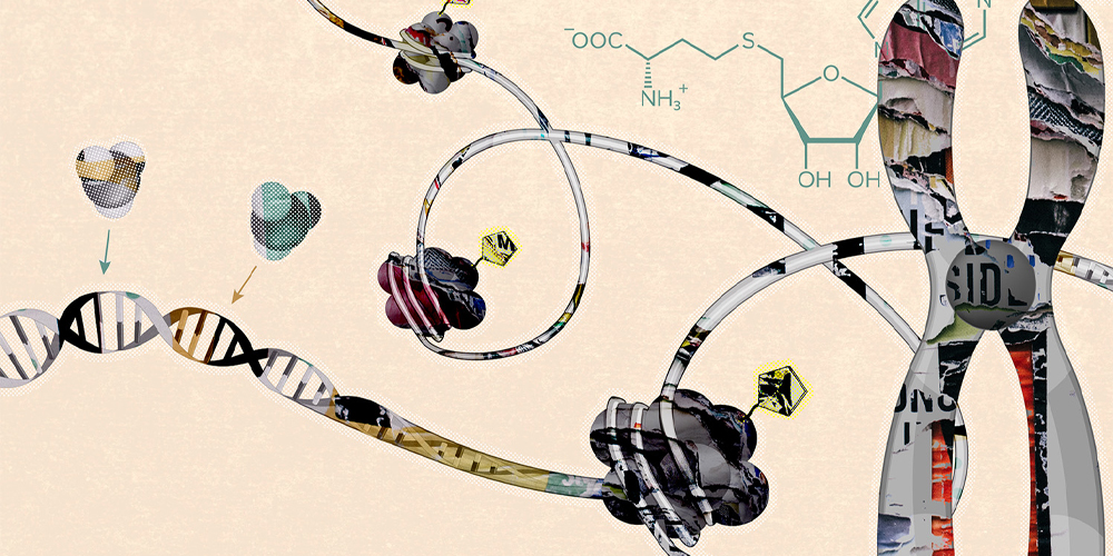 These proteins have been secretly managing your cells