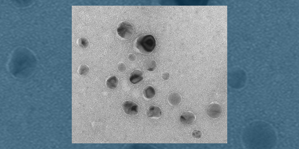 From the journals: MCP