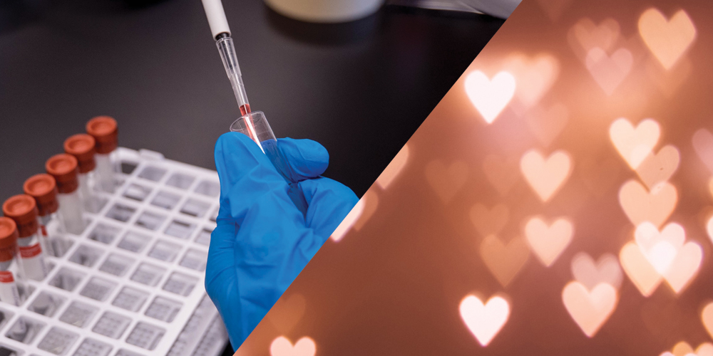 Love and biochemistry