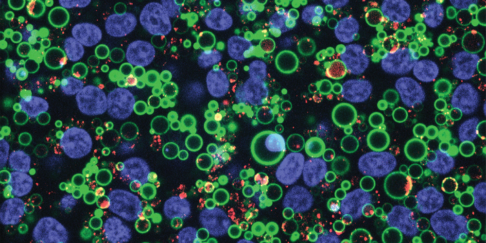 A very delicate balance