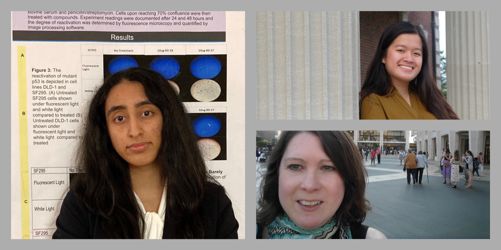 A virtual high school science fair — from the judges’ perspective