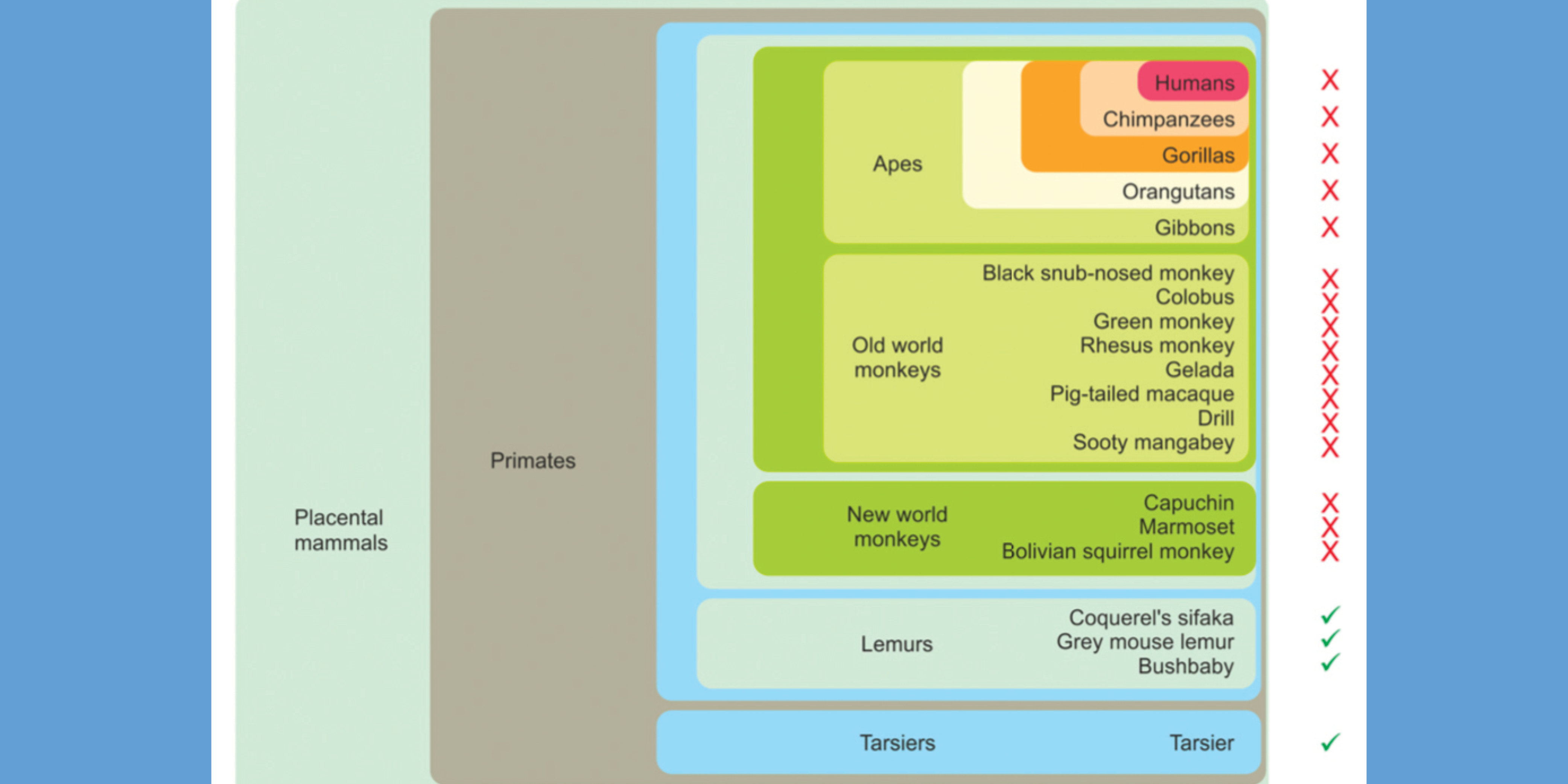 From the journals: JBC