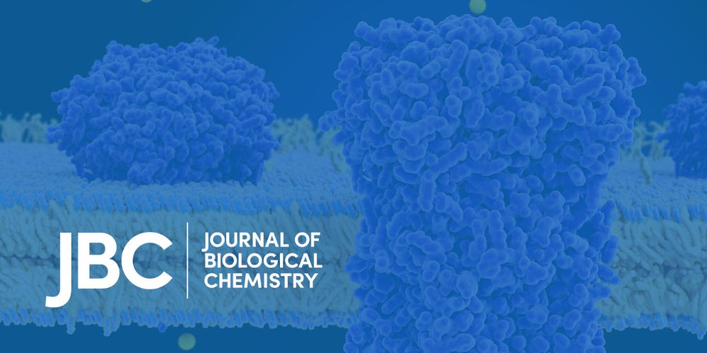 Ten interesting quotes from the JBC archives