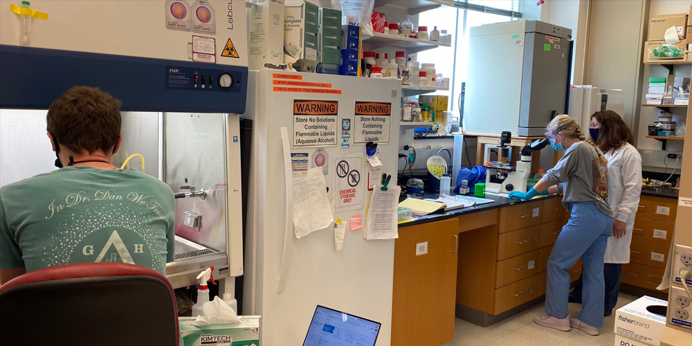 The ups and downs of teaching in a pandemic