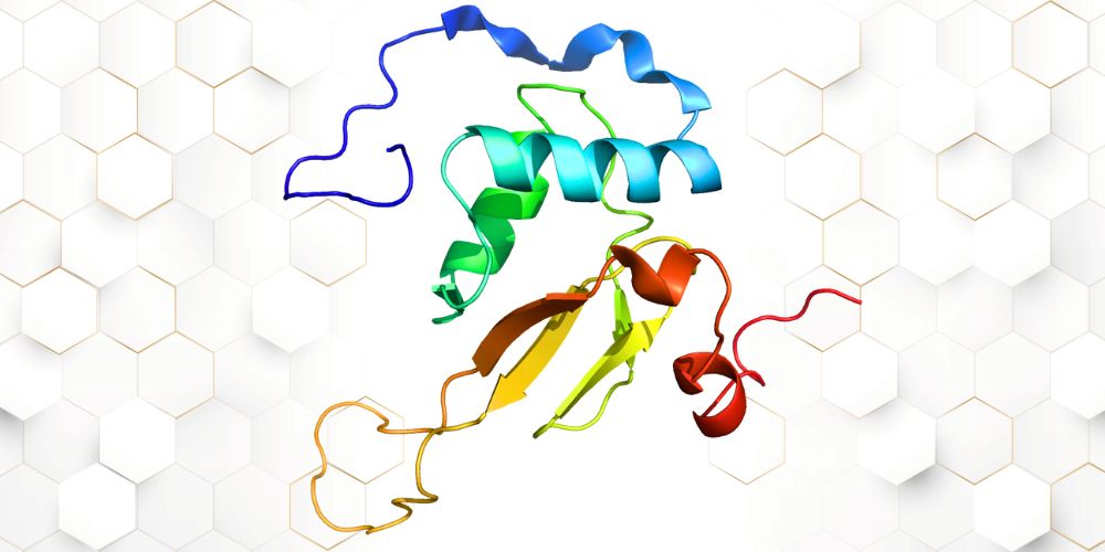 Small protein plays a big role in viral battles