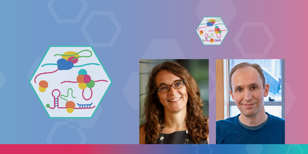 Processing and translating RNA in health and disease