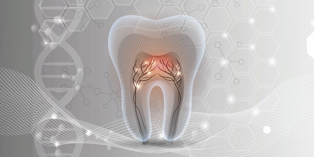 How a gene spurs tooth development