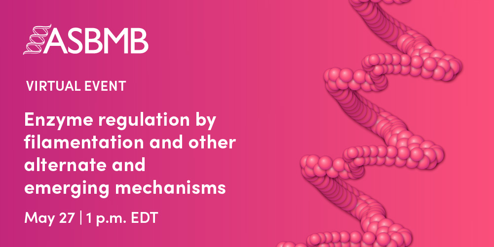 Enzyme regulation by filamentation and other alternate and emerging ...
