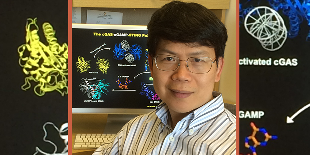 Chen recognized for protein ubiquitination and innate immune signaling work