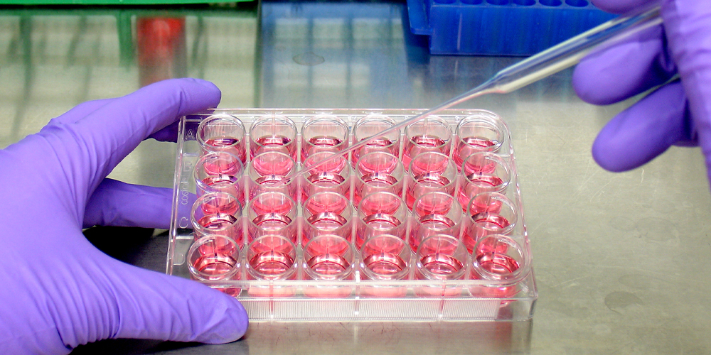 Rethinking how culture medium contributes to cellular function