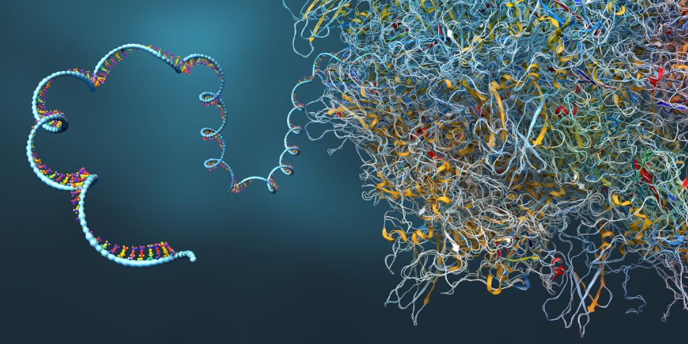 Computational and structural biology