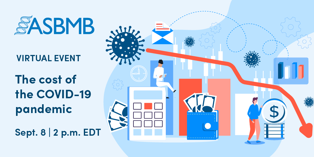 The cost of the COVID-19 pandemic