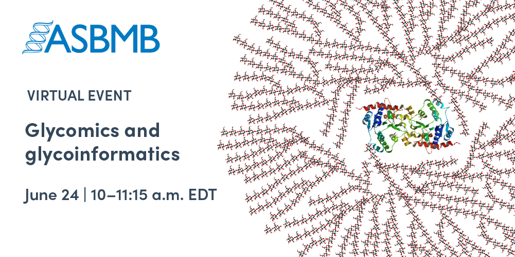 Glycomics and glycoinformatics