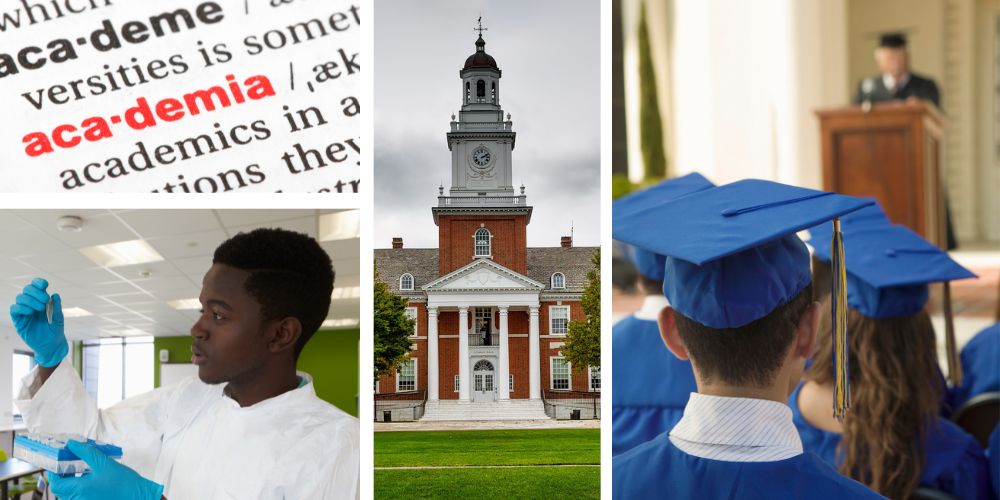 A year of academic advice