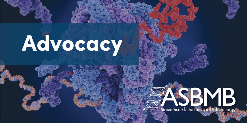 Write a letter to your legislator