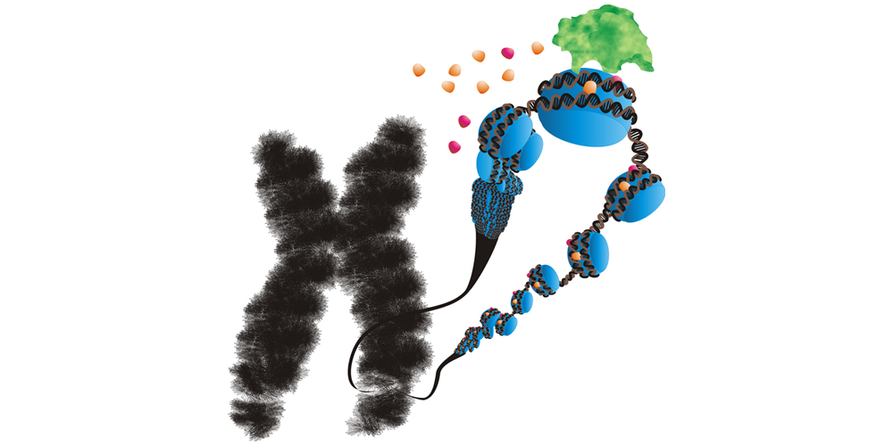 Fragile X syndrome: 80 years since its discovery