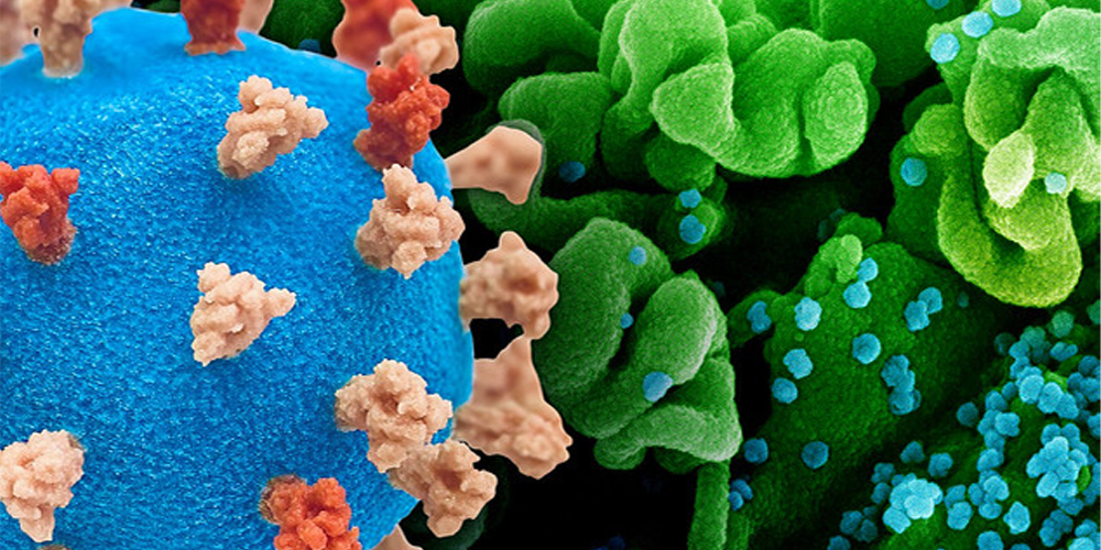 From the journals: JLR