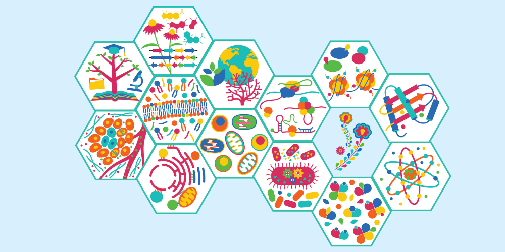 Discover BMB 2024 symposia: What are they really all about?