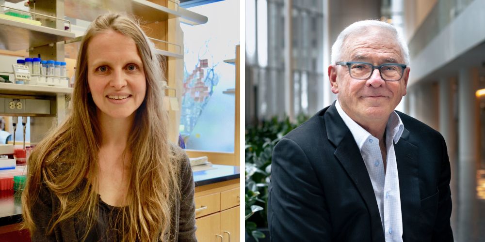 Boal wins SBIC award; Watterson named fellow of inventors academy