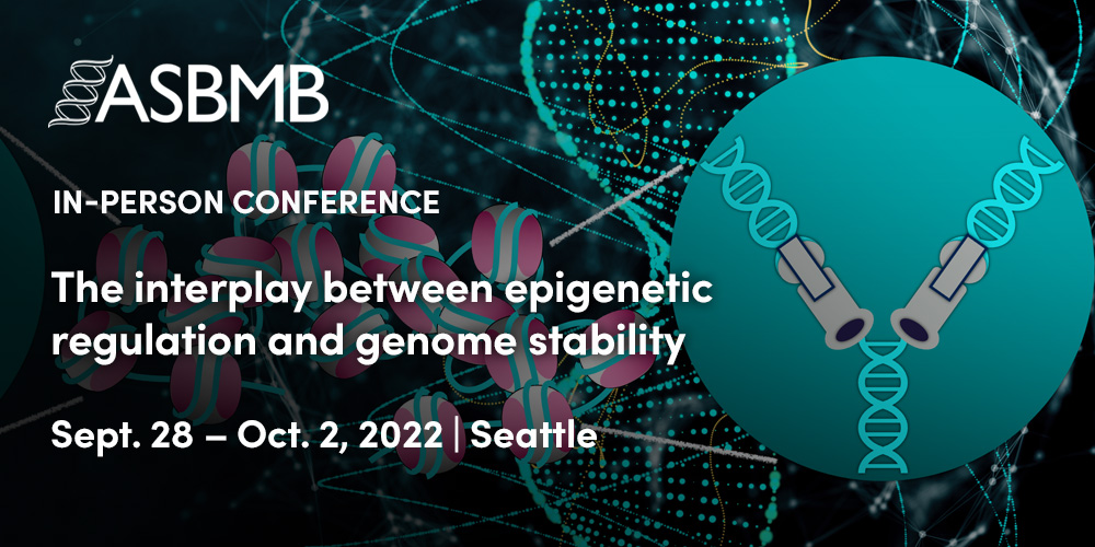 The interplay between epigenetic regulation and genome stability
