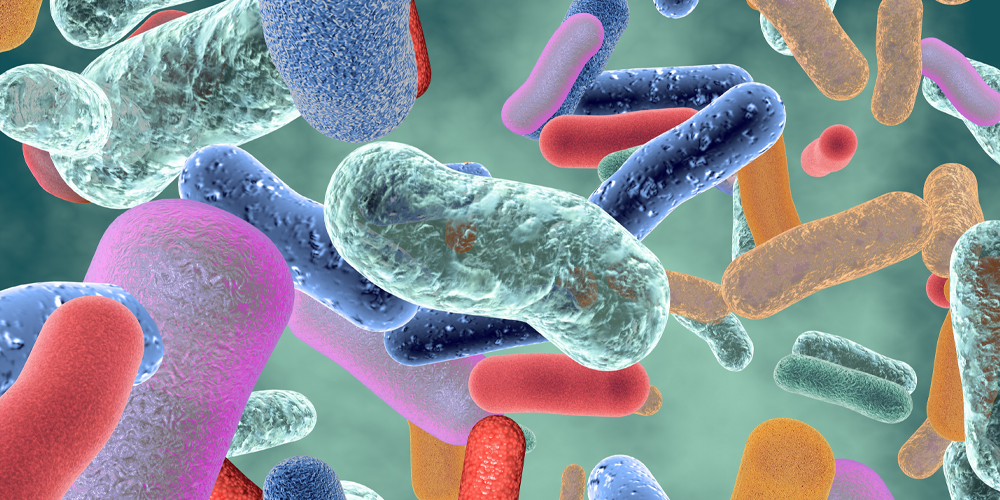 Engineered bacteria make living materials