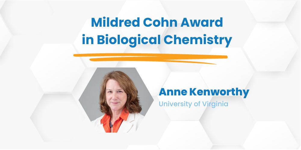 Kenworthy links quantity to theory