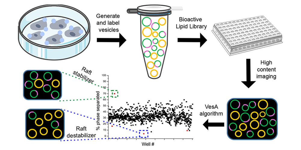 Technique for finding small molecules