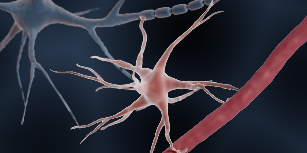 From the journals: JLR