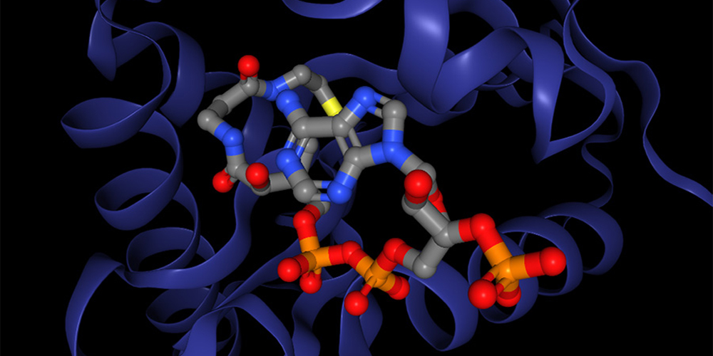 ‘CoA as the central core’
