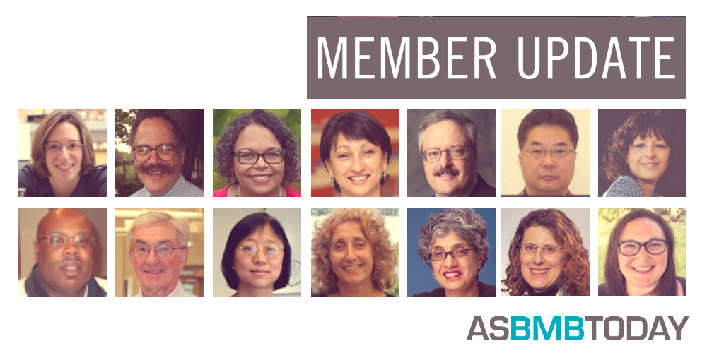 Member update: April 2019