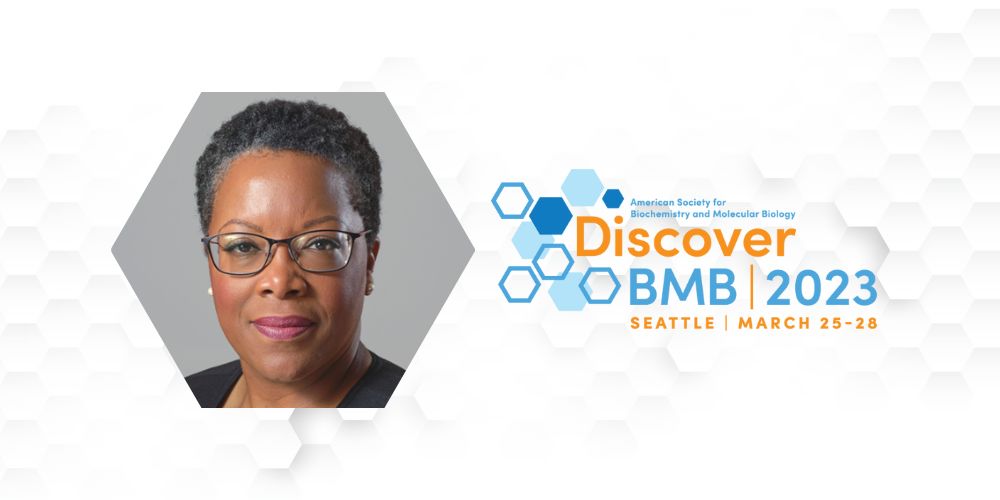 Learn, reflect and lead