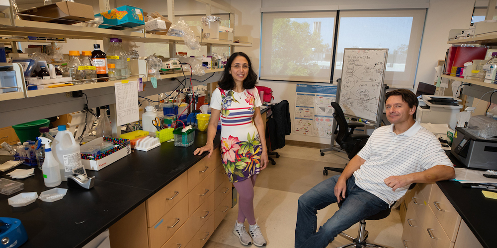 How genome organization influences cell fate