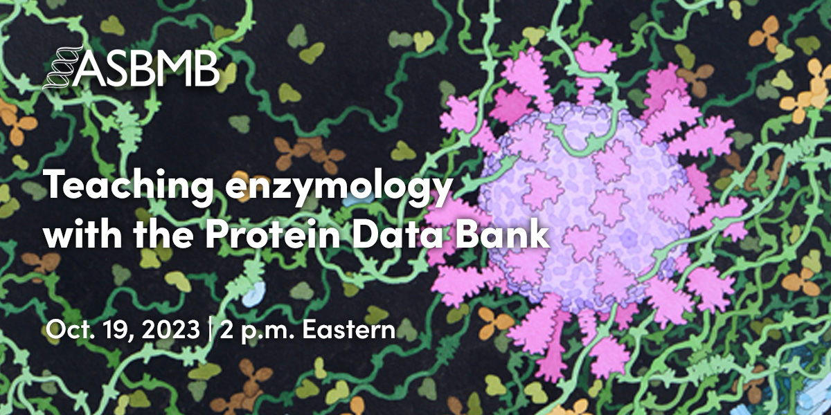 Teaching enzymology with the Protein Data Bank: From pandemic to Paxlovid