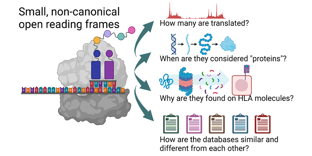 Improvements in human genome databases offer a promising future for ...
