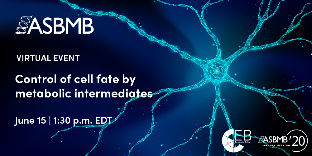 Control of cell fate by metabolic intermediates